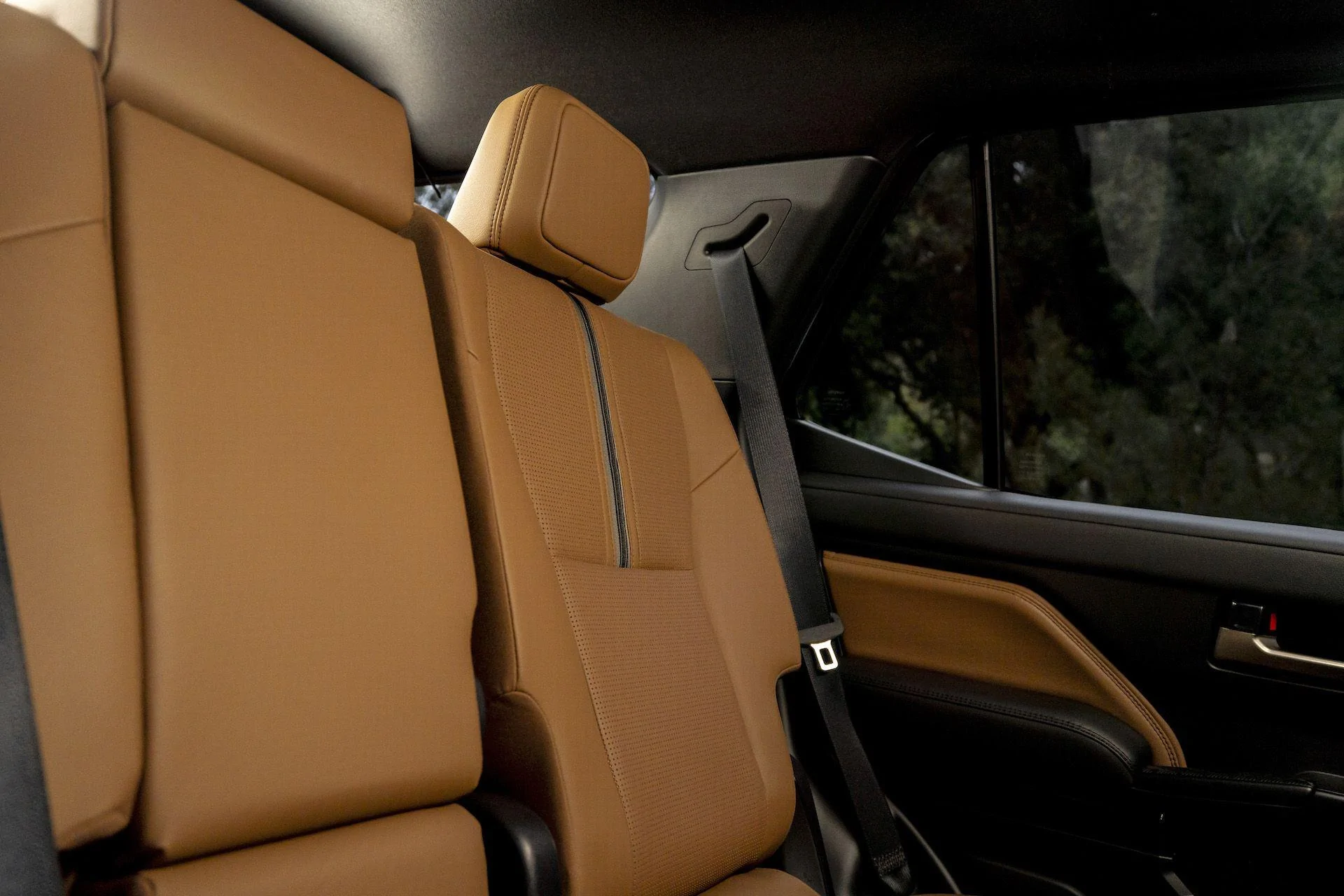 Photos: 2025 4Runner LIMITED (Interior, Cargo Space, Exterior) in ...