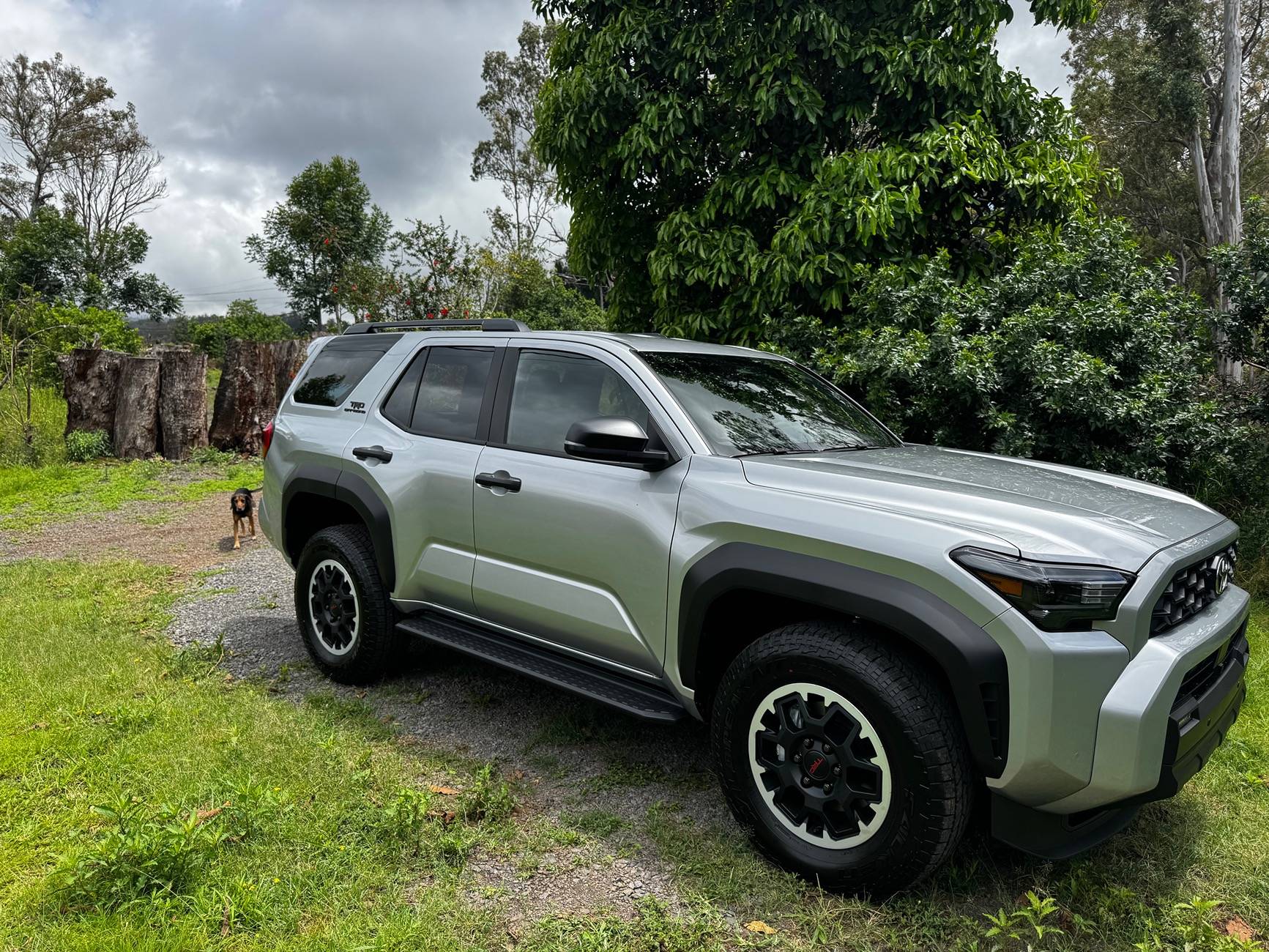 2025 4Runner 6th Gen OWNERS Registry List & Stats [Add Yours]! 📊 | Page ...