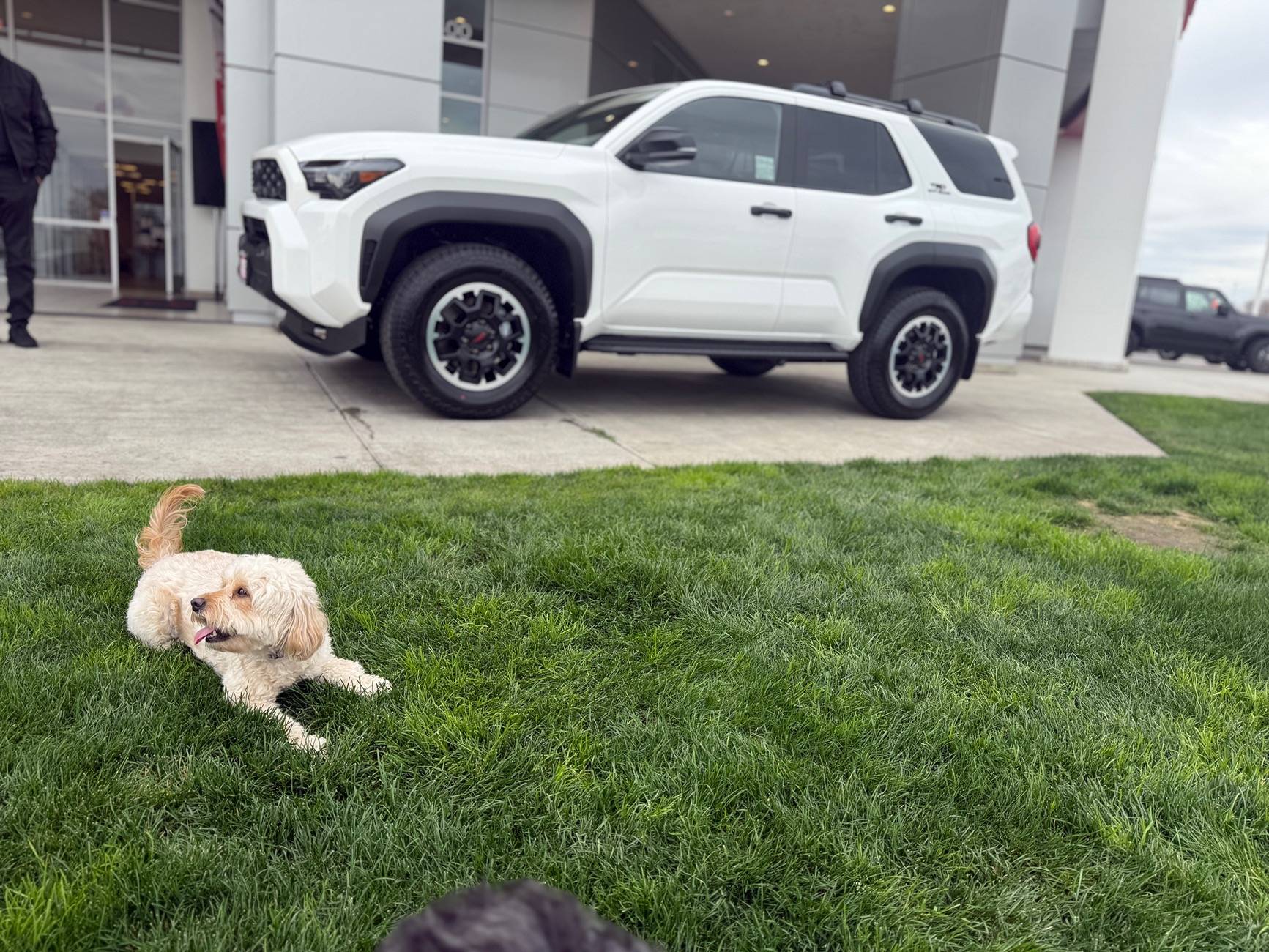 ICE CAP WHITE 2025+ 4Runner 6th Gen Thread | Page 3 | 2025 4Runner Forum (6th Gen) Community ...