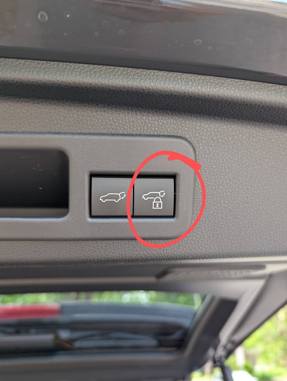 What do these two items do/mean (rear dash light and cargo lock button ...