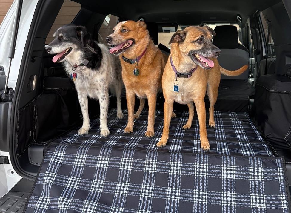 Canvasback cargo liner for Hybrid 4Runner - update | 2025+ 4Runner ...